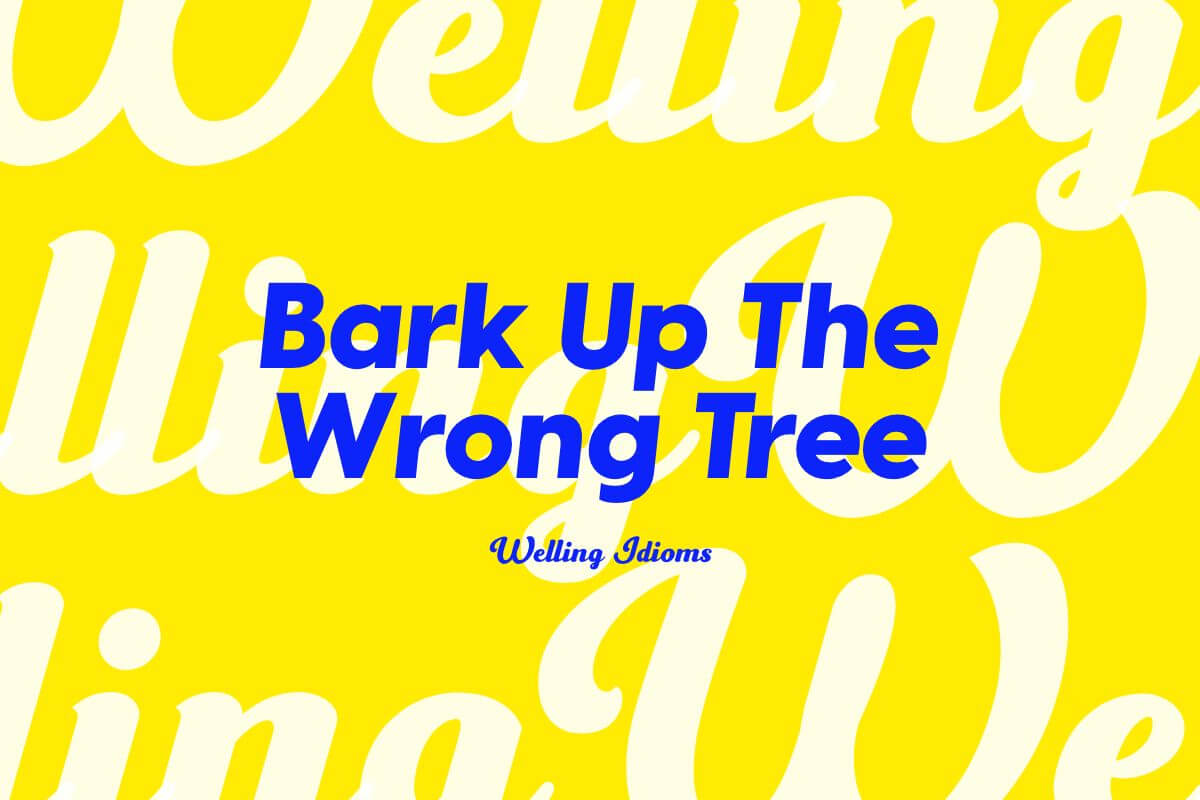 I'm into - Meaning & Examples