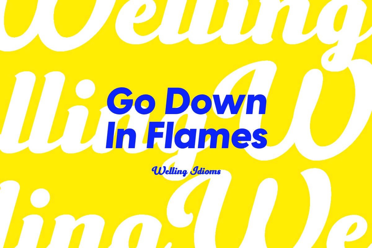 Go Down In Flames - 意味と例文 | イディオム